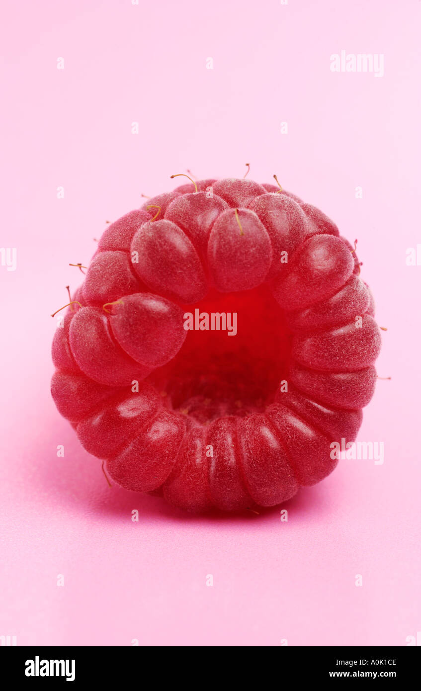 Single red raspberry on pink background Stock Photo - Alamy