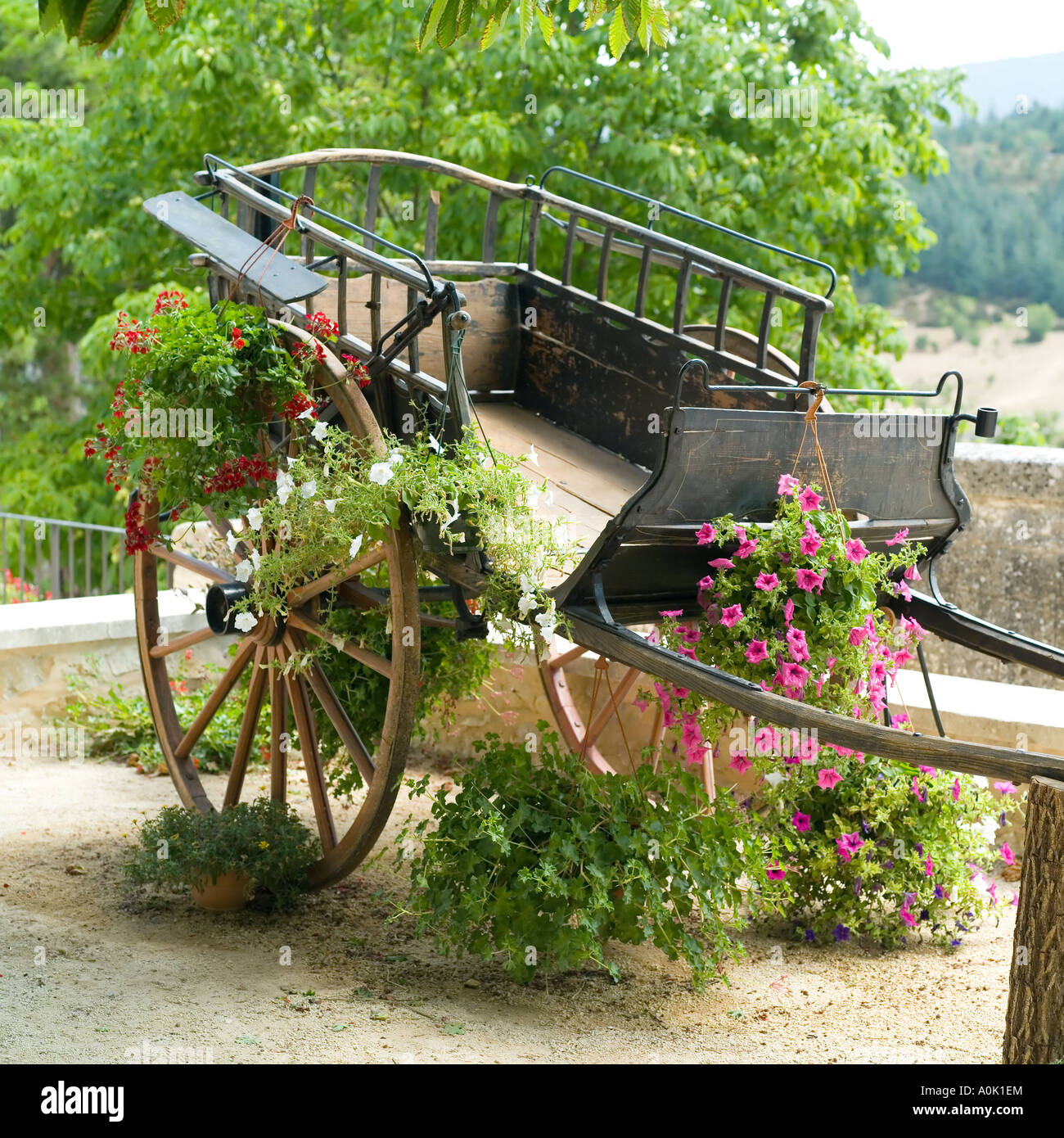 Decorated horse drawn carriage hi-res stock photography and images - Alamy