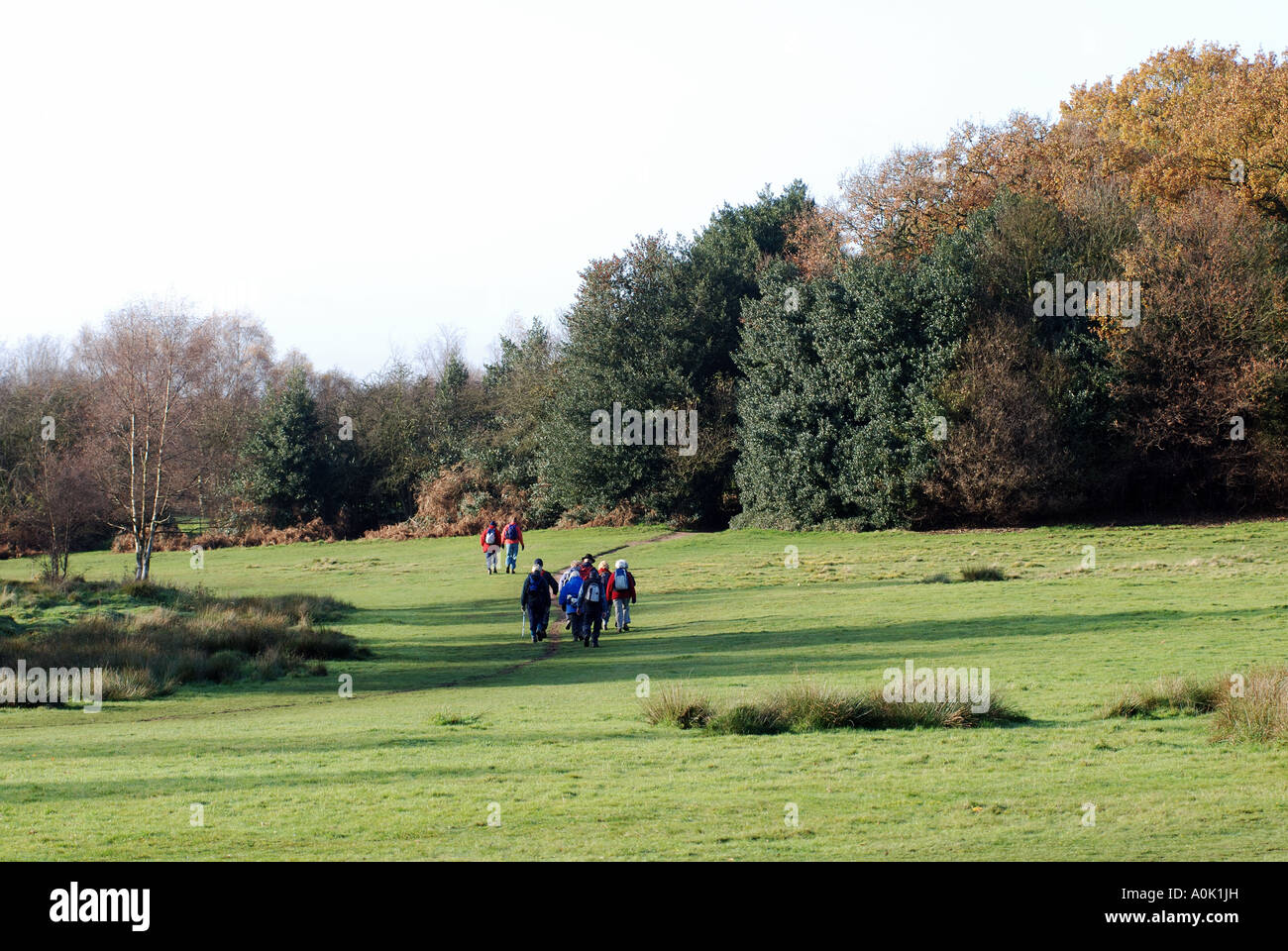 Sutton park birmingham walkers hi-res stock photography and images - Alamy