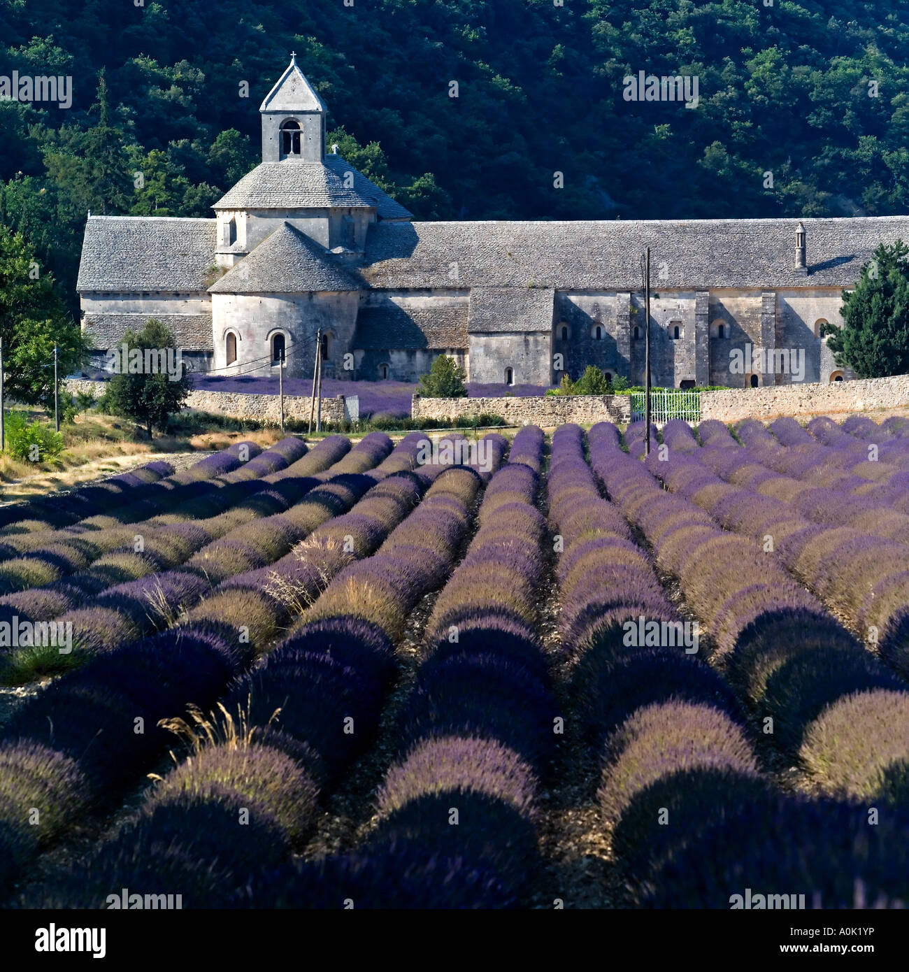 Abbaye de Sénanque, Cistercian abbey and monastery, 12th century ...