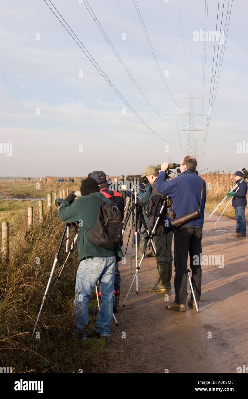 group off bird watchers with binoculars looking into the sky,all ...