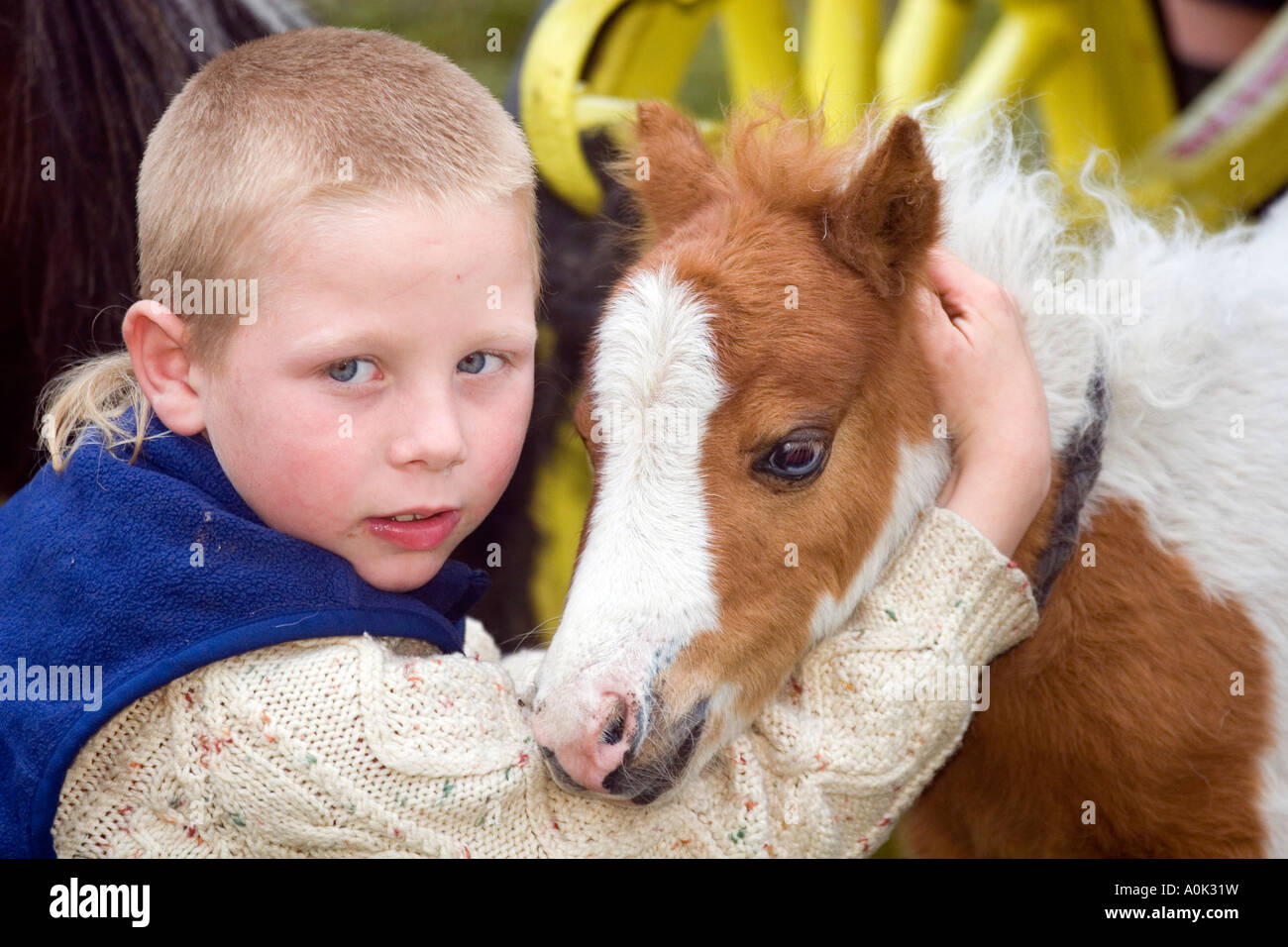 a young boy holds a pony Stock Photo - Alamy