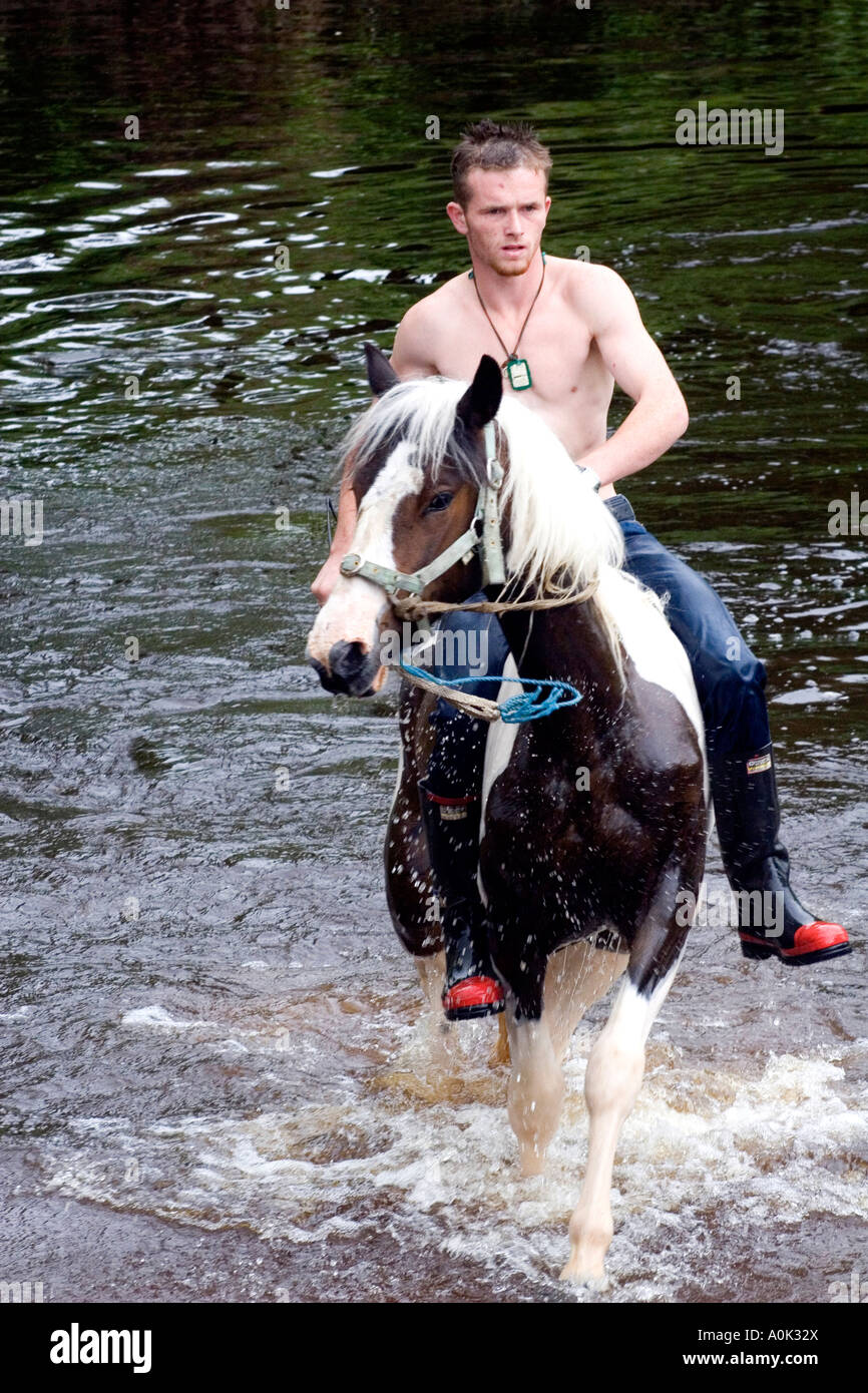 A man rides a horse in a river Stock Photo - Alamy