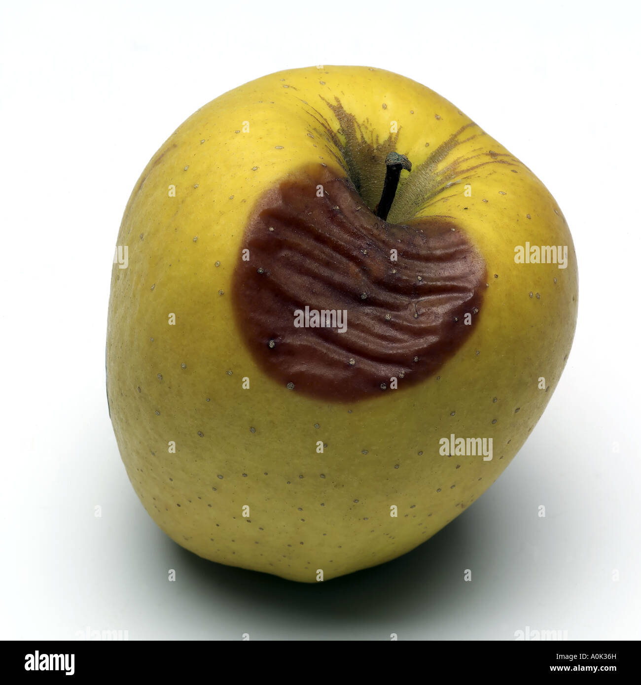 Rottenness hi-res stock photography and images - Alamy