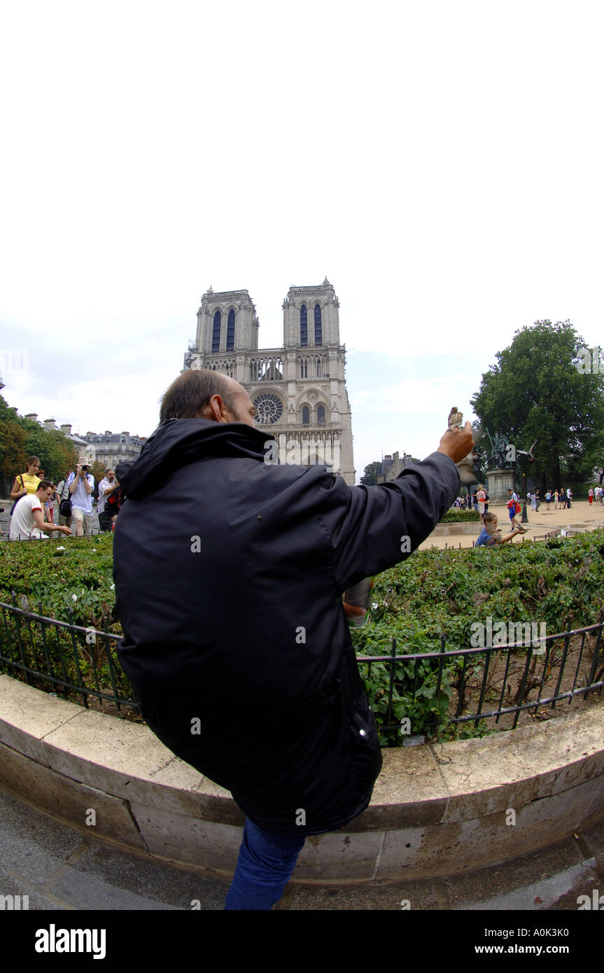 bird feeder, man, male, feeding the sparrows Stock Photo - Alamy