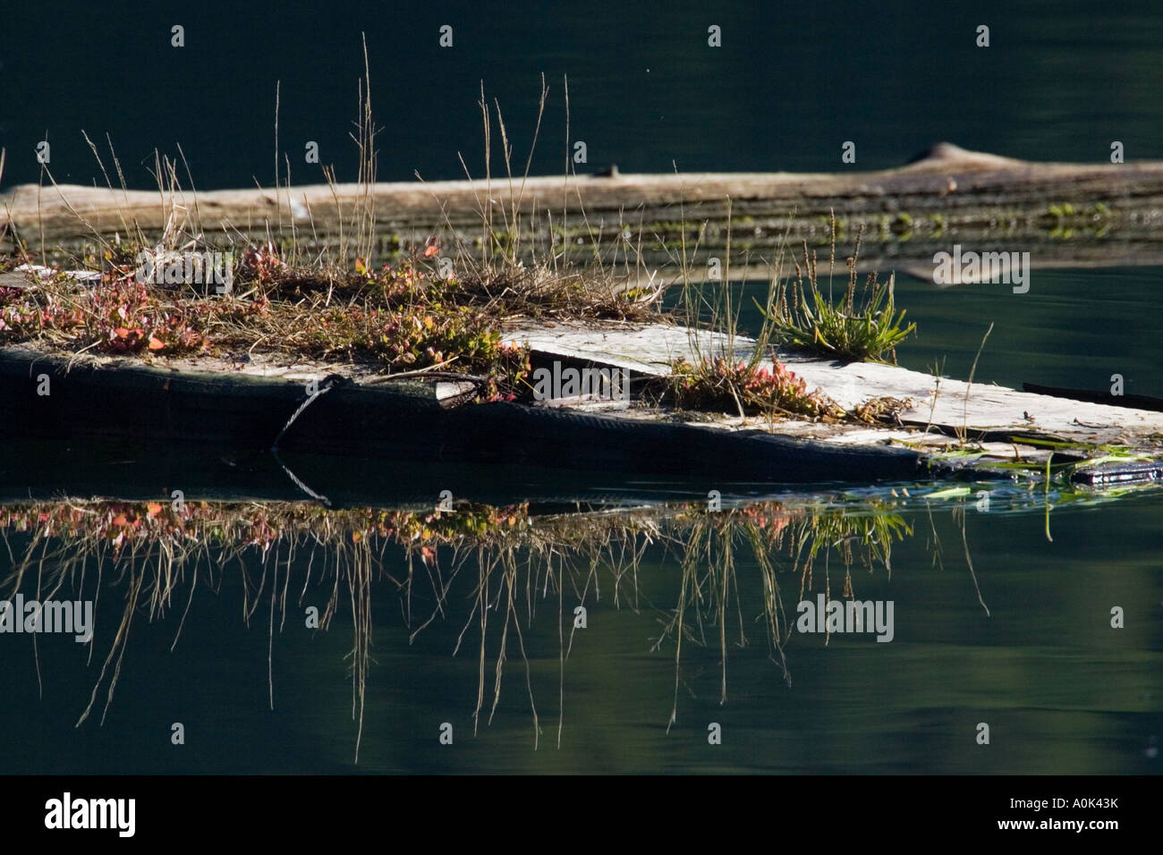 old float dock Stock Photo - Alamy