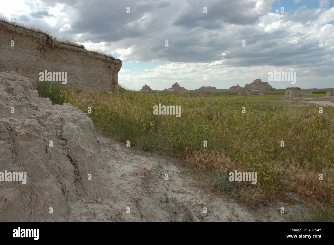P31 074 Badlands National Park - Near Door Trail - Mixed grass prarie ...