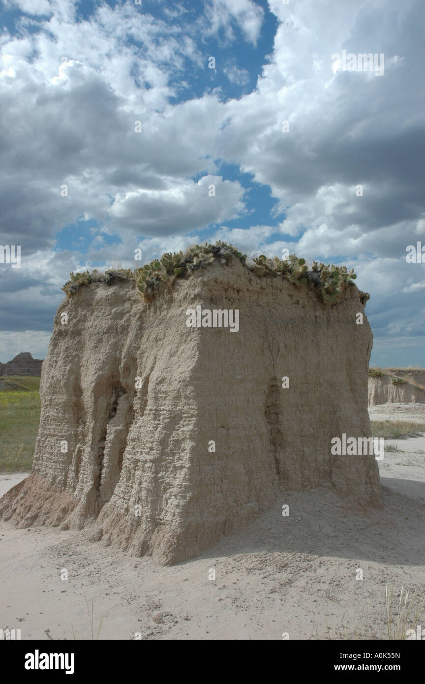 P31 078 Badlands National Park - Near Door Trail - Sod Table With ...