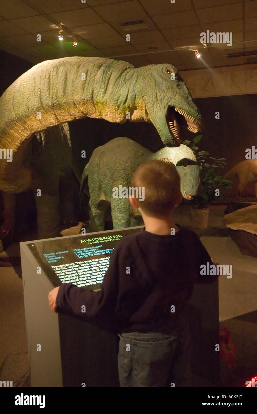 P31 181 6 year-old boy In front of Animatronic Apatosaurus at Dinosaur ...