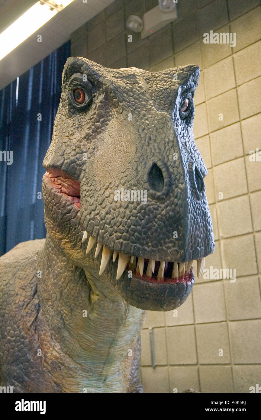 Animatronic tyrannosaurus rex hi-res stock photography and images - Alamy