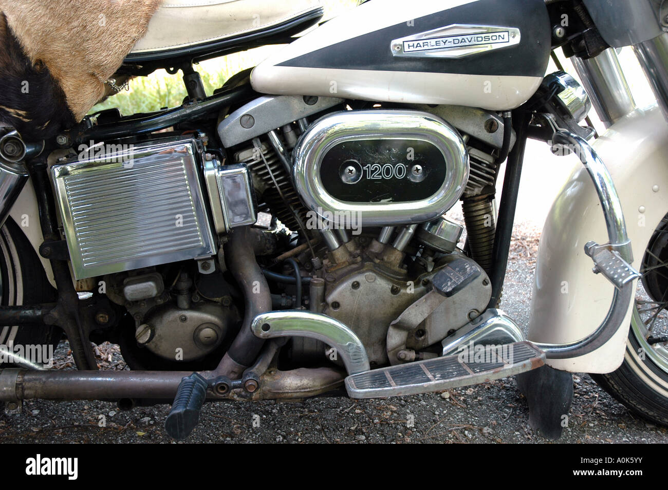 P31 248 1968 Harley-Davidson Electra Glide 1200cc Shovel Head Engine ...