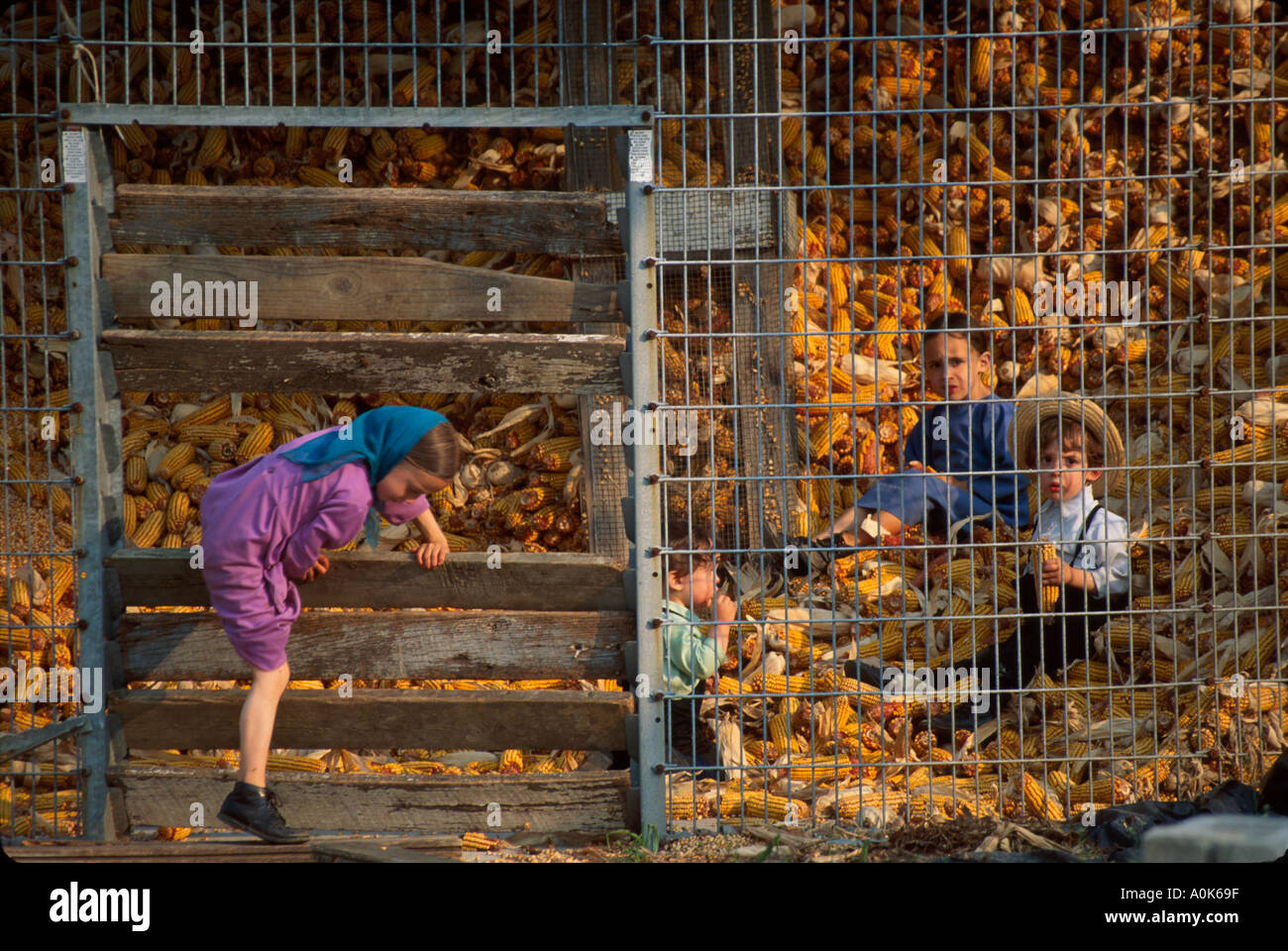 Amish children play hi-res stock photography and images - Alamy