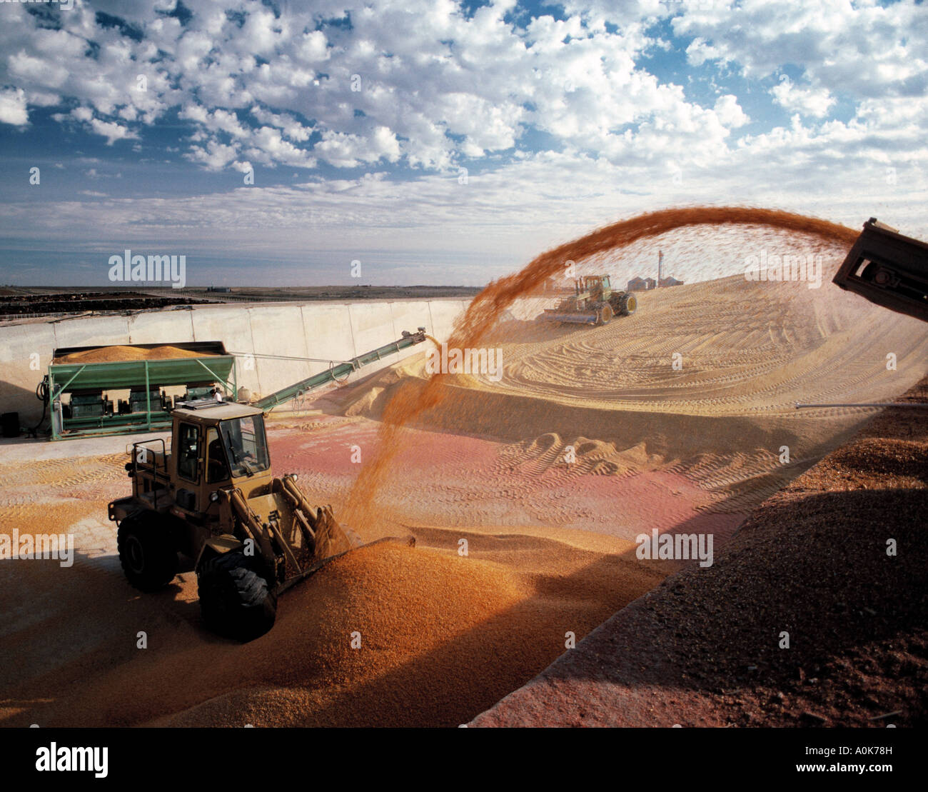 Moving material in a grain storage area at a cattle feedlot Southwest ...