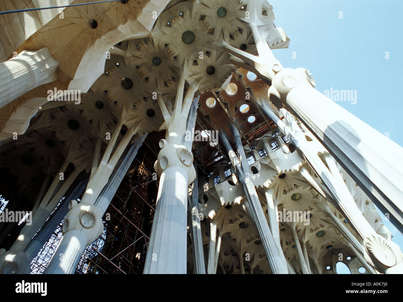 columns, Cathedral Sagrada Familia, Barcelona, Spain Stock Photo - Alamy