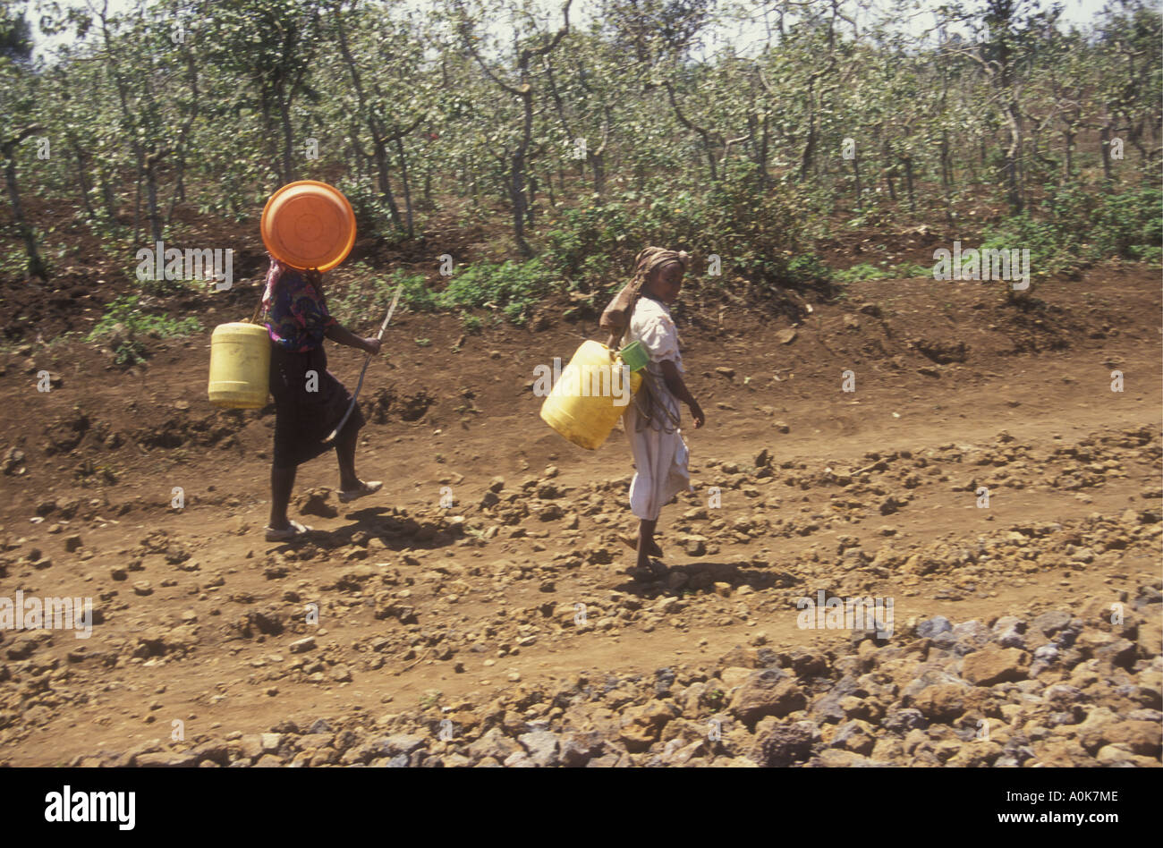 Two Meru women carrying water containers on their way to a spring Meru ...