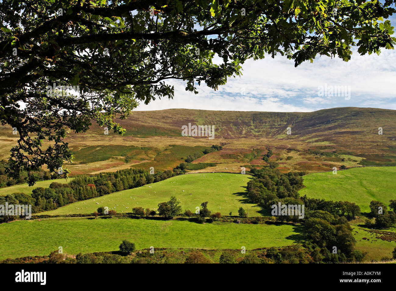 Y Gyrn, Glyn Tarell, Brecon Beacons National Park, Wales Stock Photo ...