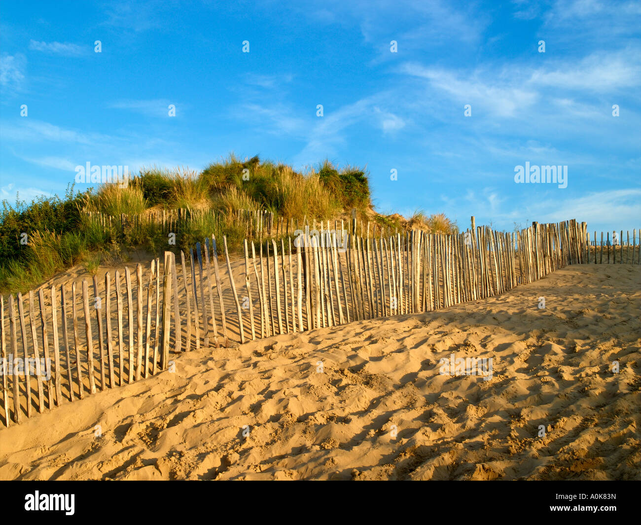 Rye, Sand Dunes Stock Photo - Alamy