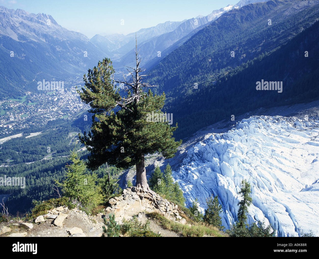 Chamonix & Les Bossons Glacier Stock Photo - Alamy