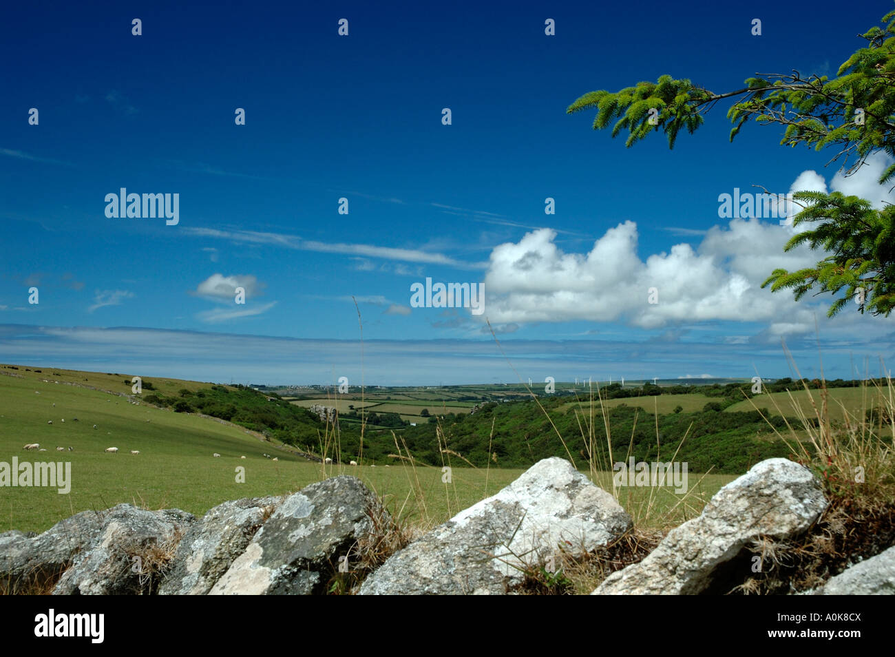 Jump hedge hi-res stock photography and images - Alamy