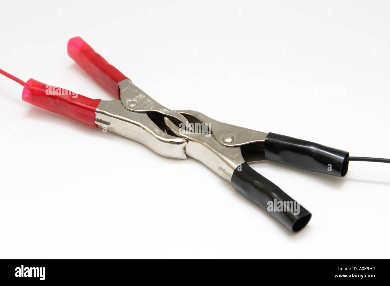 two large crocodile clips Stock Photo - Alamy