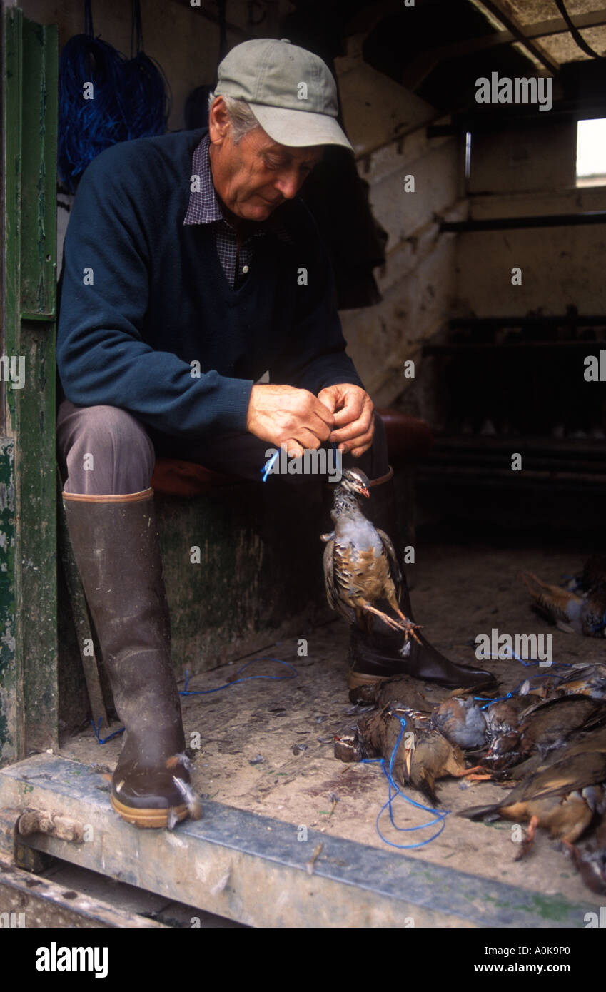 The english gamekeeper hi-res stock photography and images - Alamy