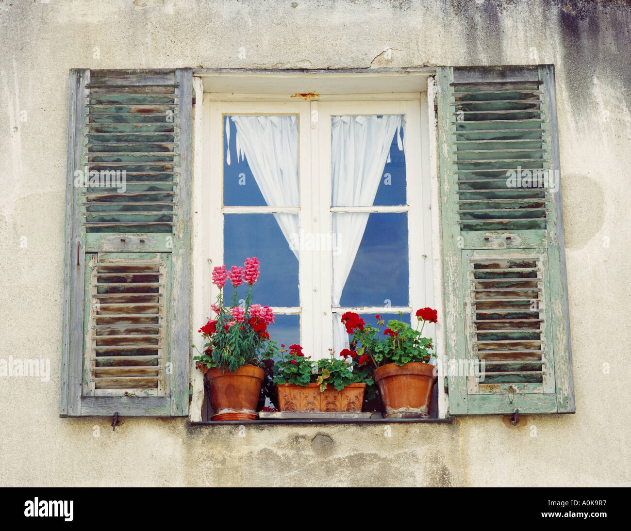 French window flowers hi-res stock photography and images - Alamy