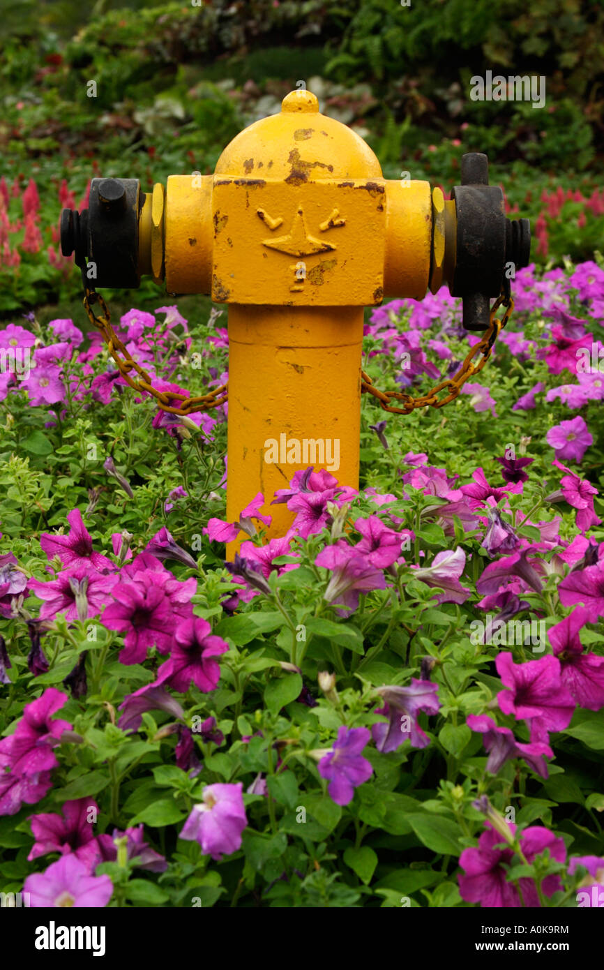 fire hydrant standing guard over a plot of flowers Stock Photo - Alamy