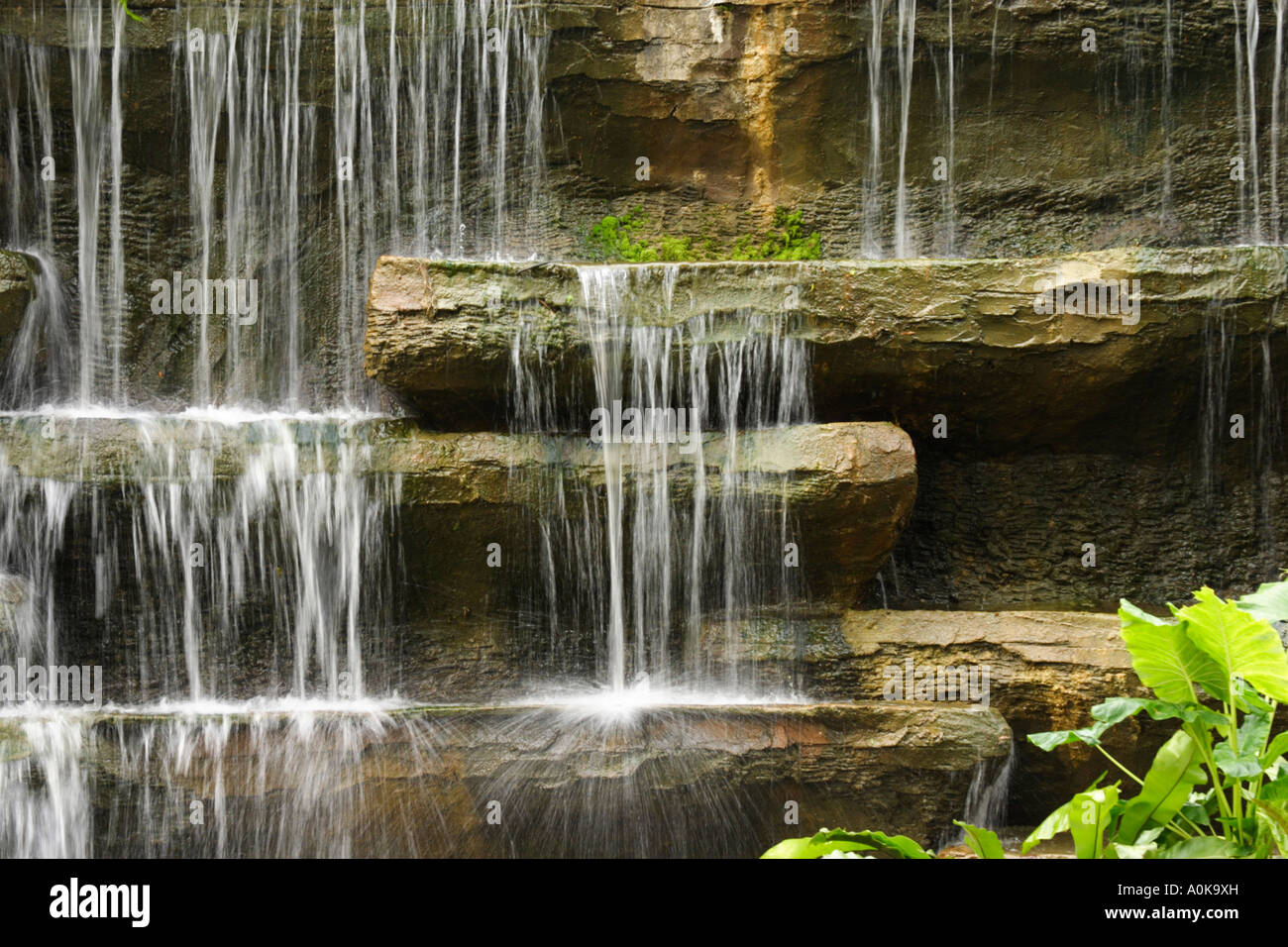 mini waterfall at a garden Stock Photo - Alamy