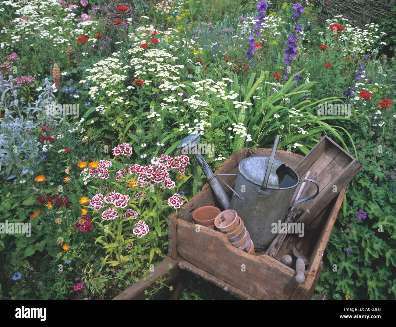Organic cottage garden England Buckinghamshire Stock Photo - Alamy