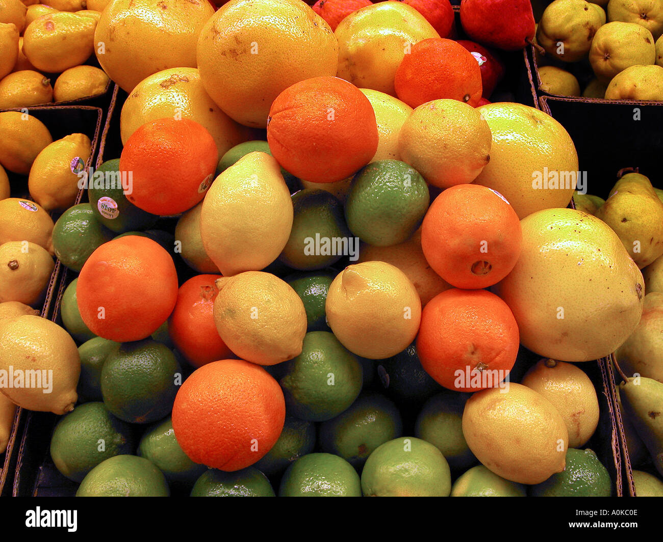 Citrus Fruits on Display Stock Photo - Alamy