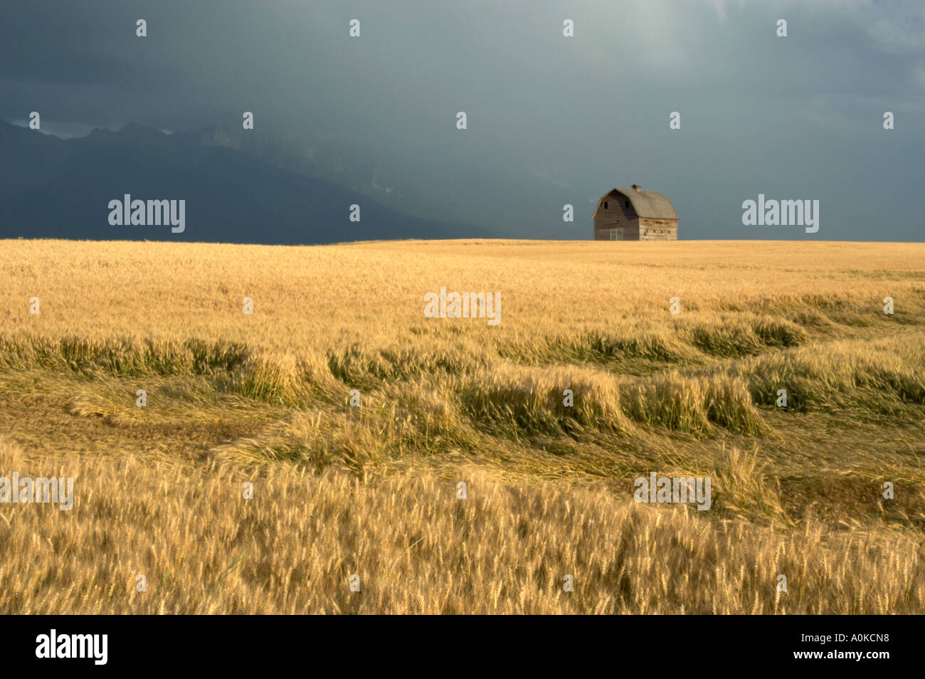 Relaxing rural farms hi-res stock photography and images - Alamy