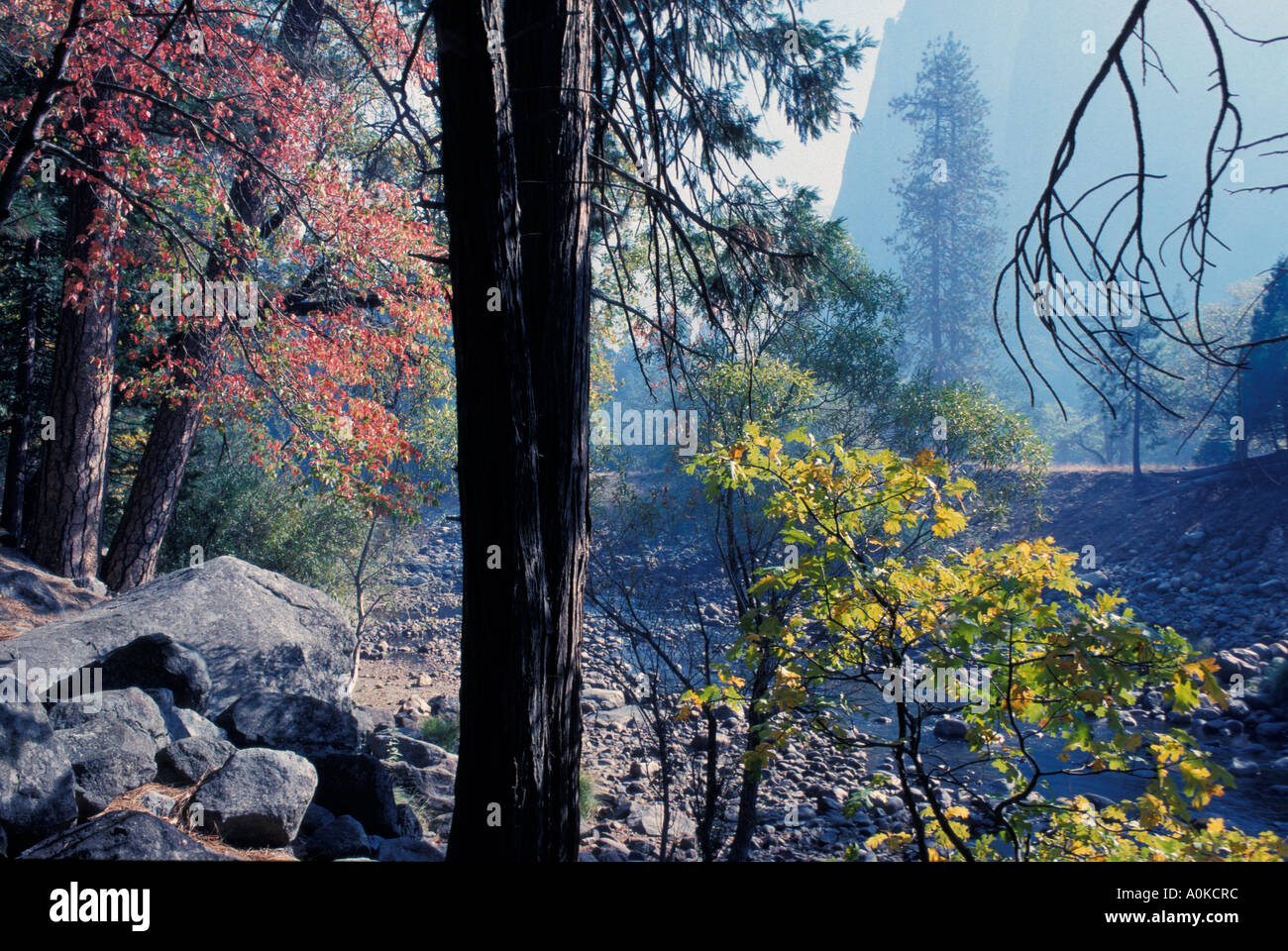 Fall Merced River Yosemite National Park California United States of ...