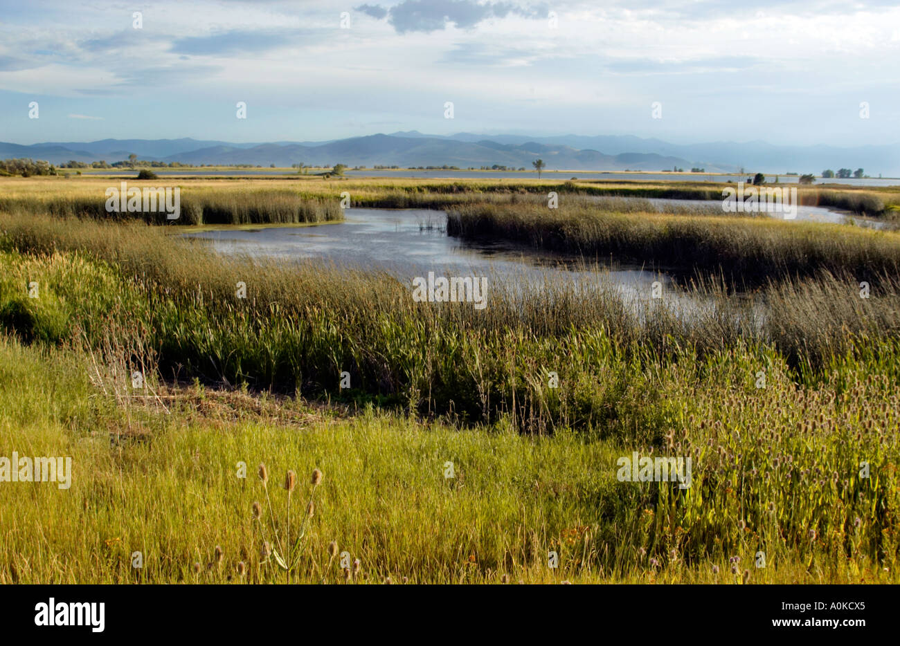 Montana landscape ranch hi-res stock photography and images - Alamy