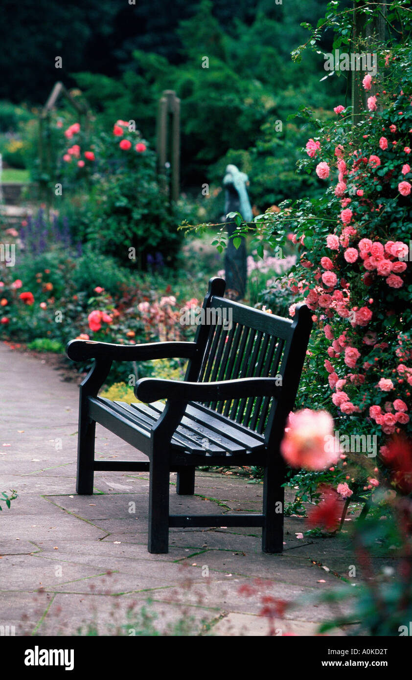 Westfalenpark rose germany hi-res stock photography and images - Alamy