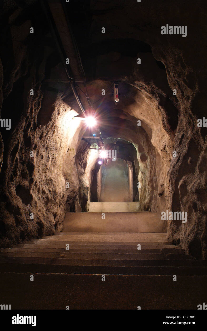 Steps Down to Another Level of a Secret Tunnel System Built Inside the ...