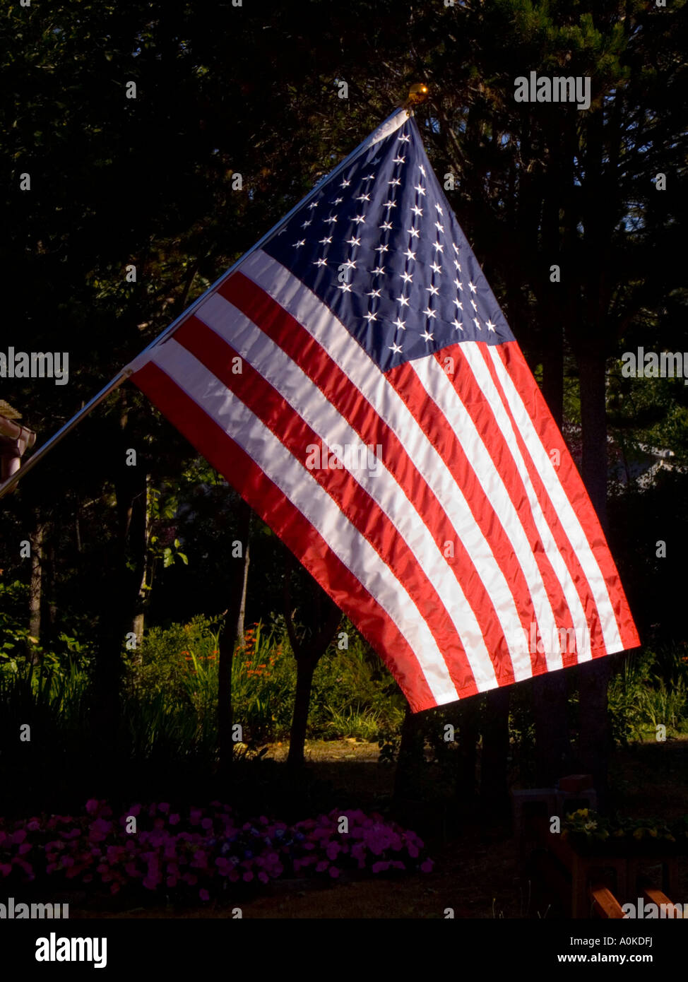 Billowing american flag hi-res stock photography and images - Alamy