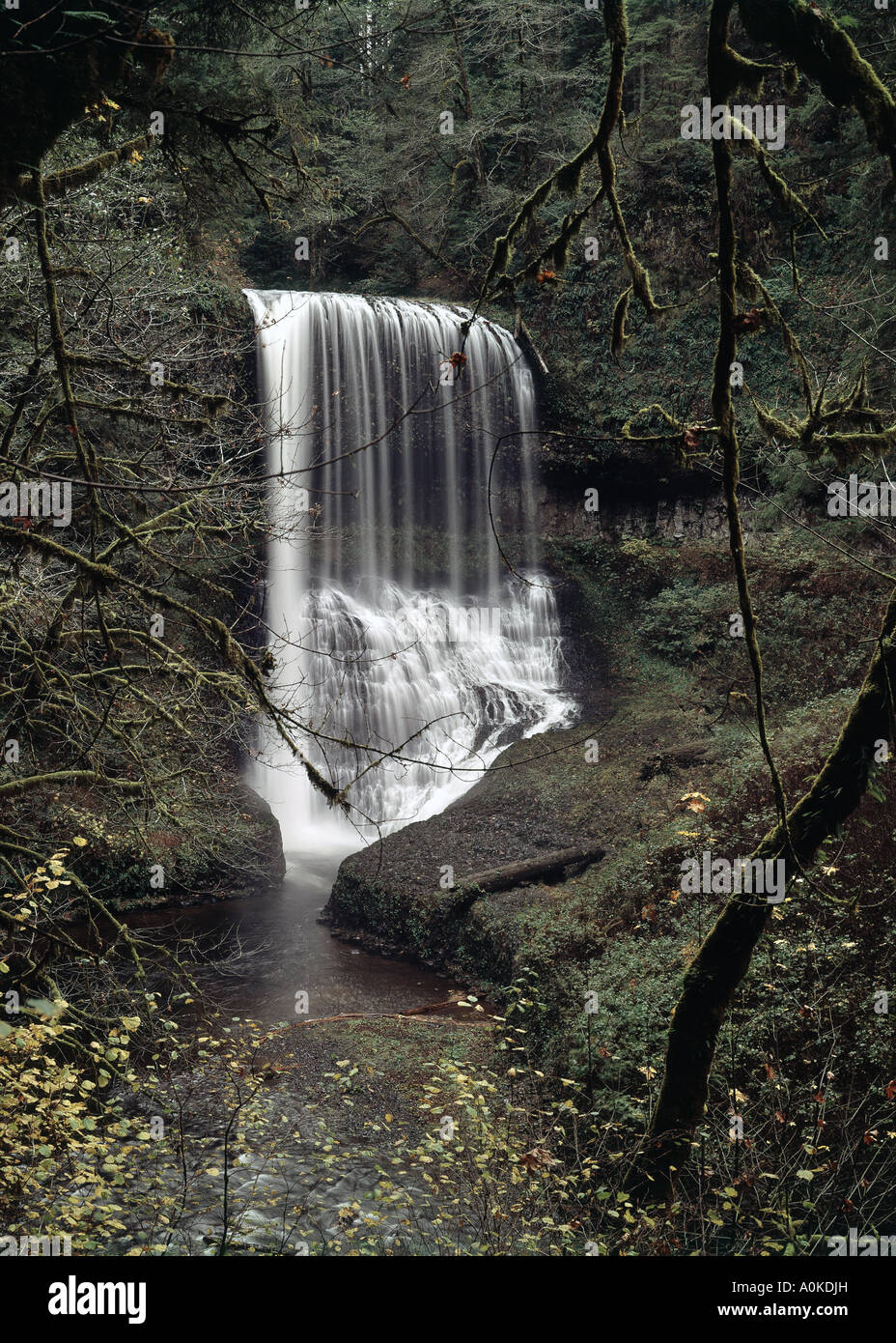 Silver Falls State Park boasts several shimmering waterfalls such as ...