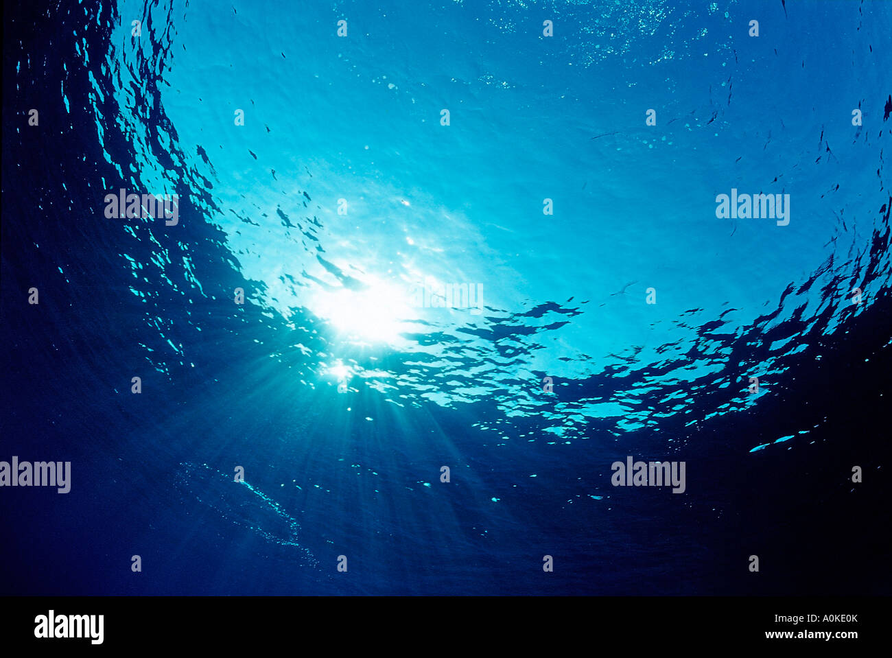 Underwater surface shaft of light hi-res stock photography and images ...