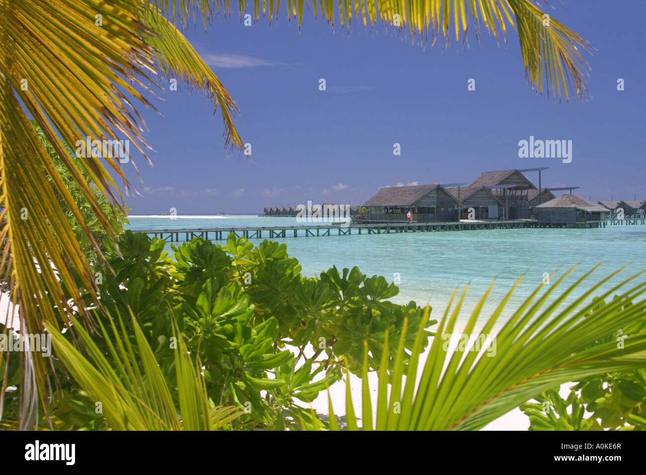 Paridise hi-res stock photography and images - Alamy