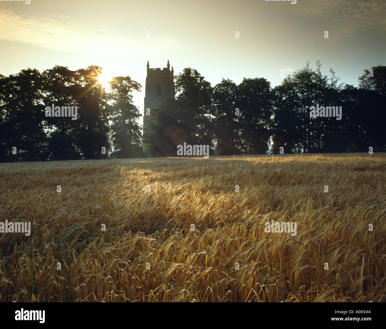 Landscape with the yellow church tower hi-res stock photography and ...