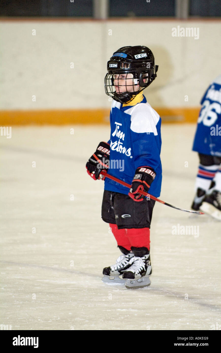 5 year old boys and girls are learning the fundamentals of playing ice ...