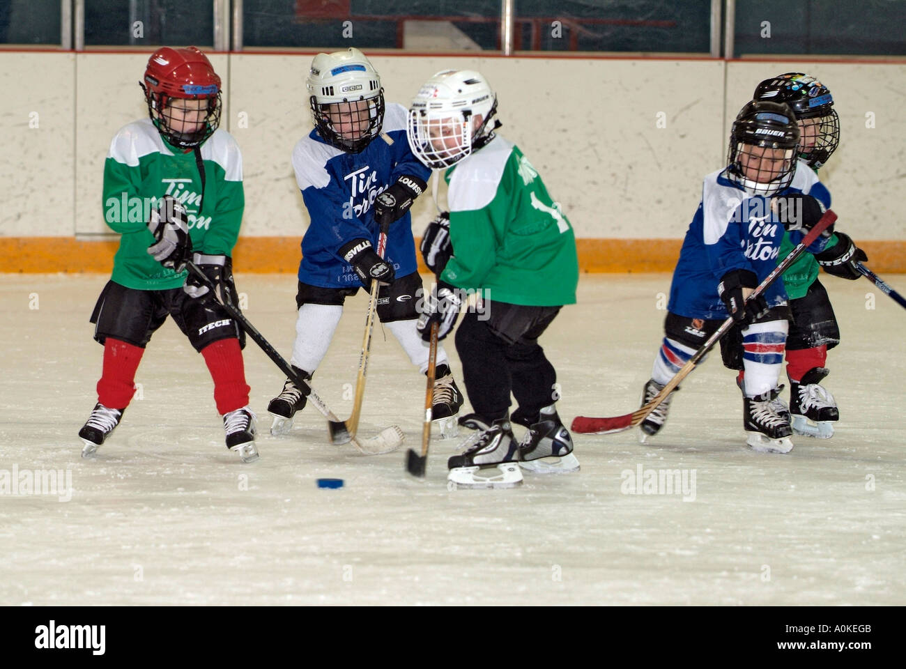 5 year old boys and girls are learning the fundamentals of playing ice ...
