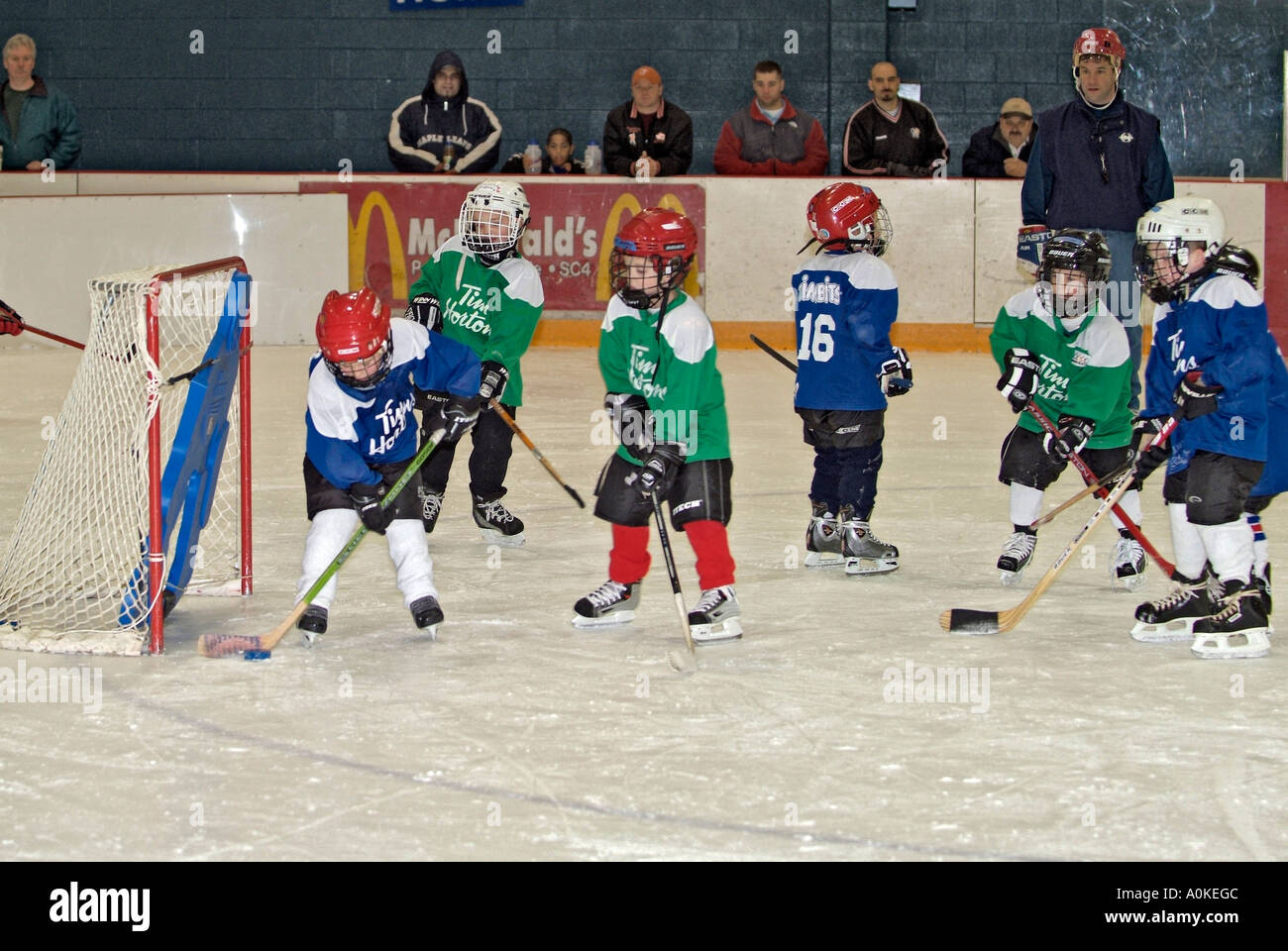 5 year old boys and girls are learning the fundamentals of playing ice ...