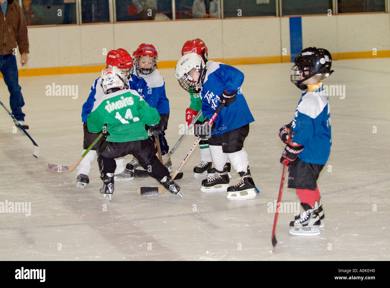 5 year old boys and girls are learning the fundamentals of playing ice ...