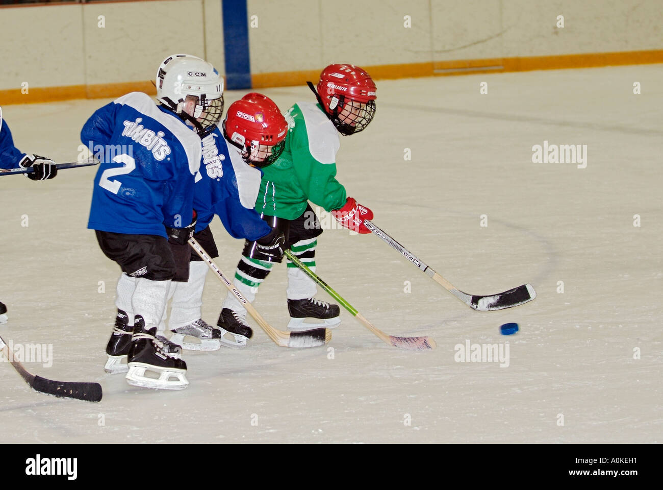 5 year old boys and girls are learning the fundamentals of playing ice ...