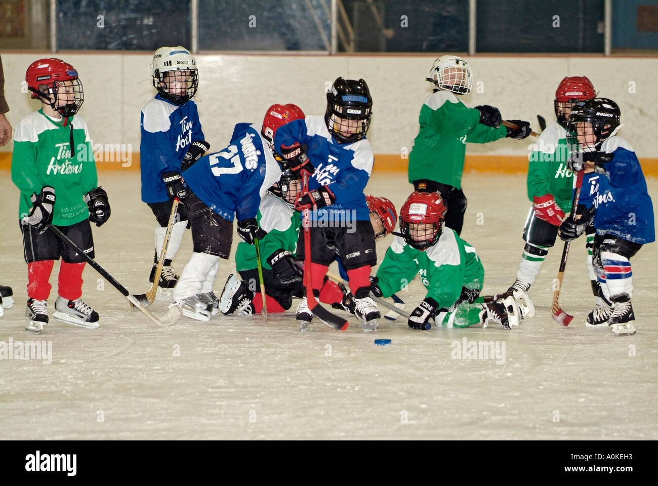 5 year old boys and girls are learning the fundamentals of playing ice ...