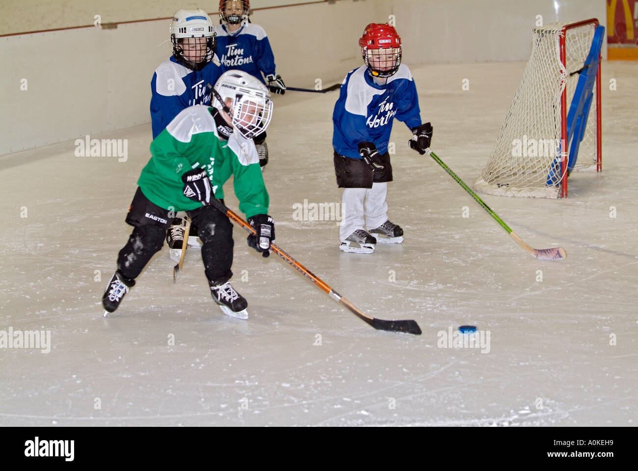 5 year old boys and girls are learning the fundamentals of playing ice ...