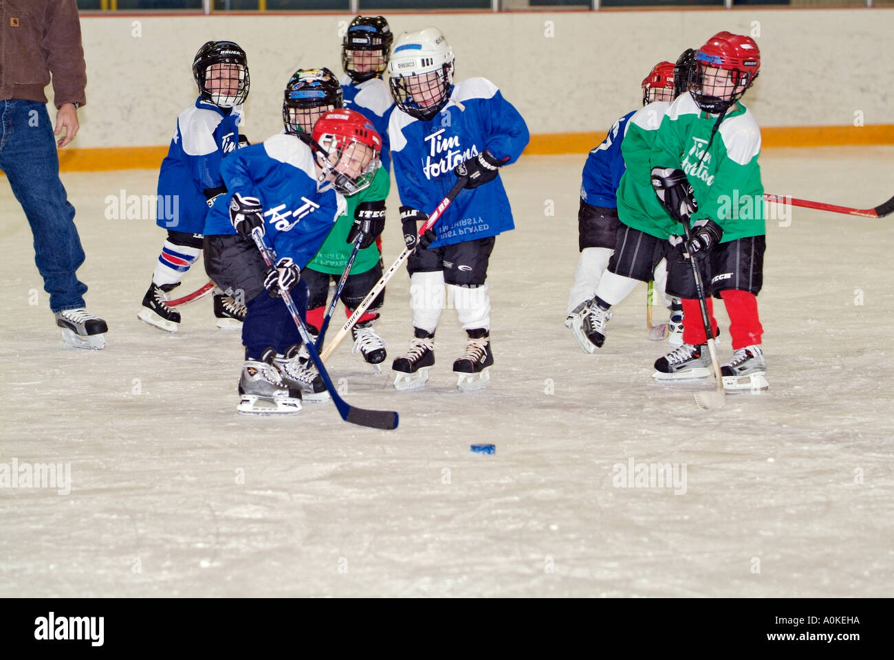 5 year old boys and girls are learning the fundamentals of playing ice ...