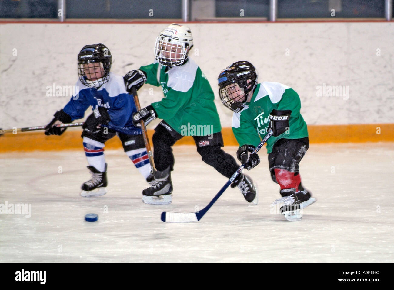 5 year old boys and girls are learning the fundamentals of playing ice ...