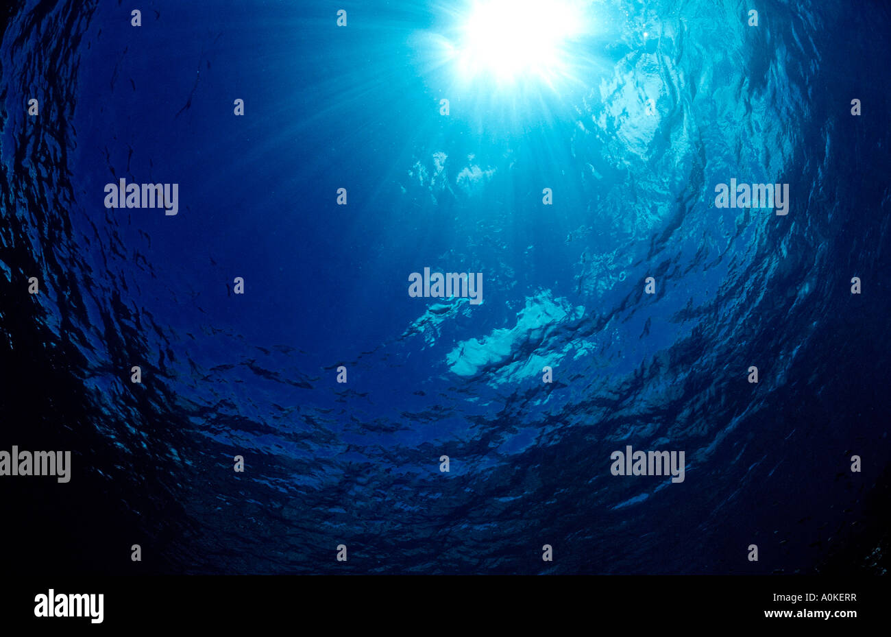 Water Surface Stock Photo - Alamy Water Surface Stock Photo - Alamy